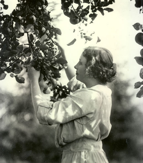 Poem contest Helen Keller, "Her hands were a living canvas, the world ...