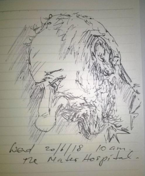 Contest / Get Well Soon wishes to H. J. Spider aka Henry Pajak by ...