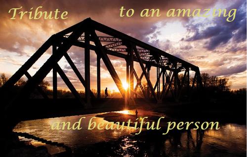 Poem contest A Tribute to Someone Special - All Poetry