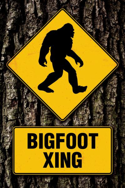 Poem contest Bigfoot, Who Is It or What Is It? - All Poetry