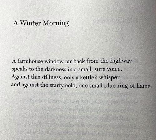 Poem contest Four lines from the best # 3 - All Poetry