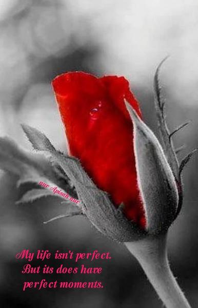 Poem contest Describe one perfect moment and why it was splendid. - All ...