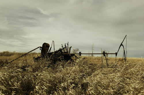 Poem contest Living in the promised land - All Poetry