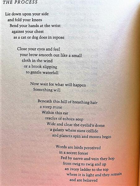 Poem contest May Swenson Poem Prompt - All Poetry