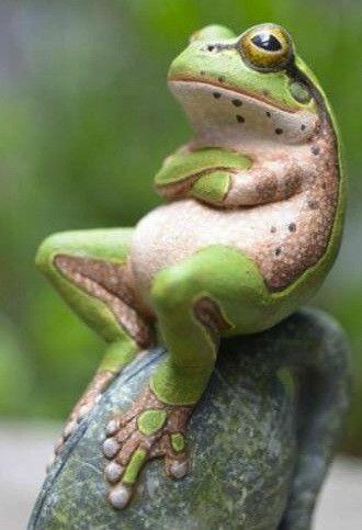 Poem contest Frustrated Frog Limerick - All Poetry