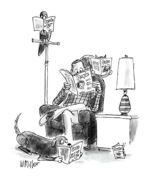 Poem contest 250 words or less - All Poetry