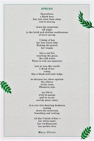 Poem contest Mary Oliver poem prompt - All Poetry