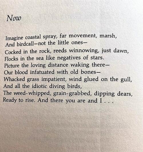 Poem contest Contest / Poem Prompt ~Robert Huff - All Poetry