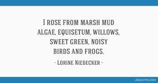 Poem contest marsh, swamp or swamped quotes/prompts - All Poetry