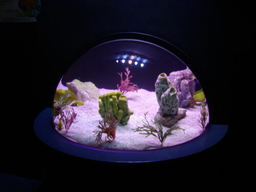 Floundering Around - a poem by Carmela aka Mel - All Poetry