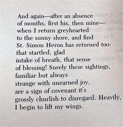 Poem contest Denise Levertov Poem - All Poetry