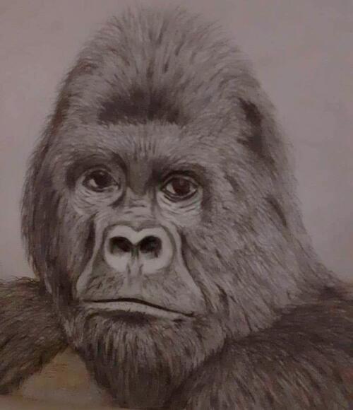 Poem contest Endangered - All Poetry