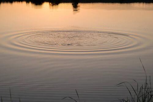 Poem contest Brevity #2 : 34 words -ripples on a pond- - All Poetry