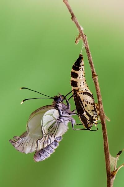 Poem contest 34 words - All Poetry