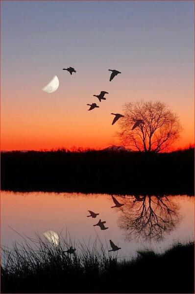 Poem contest Max 8 Lines - All Poetry