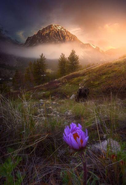 Poem contest Max 8 Lines - All Poetry