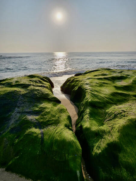 Poem contest Max 8 Lines - All Poetry