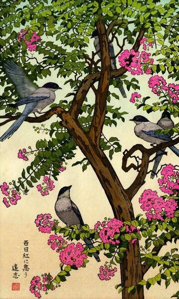 Poem contest Tan Renga 1 - All Poetry