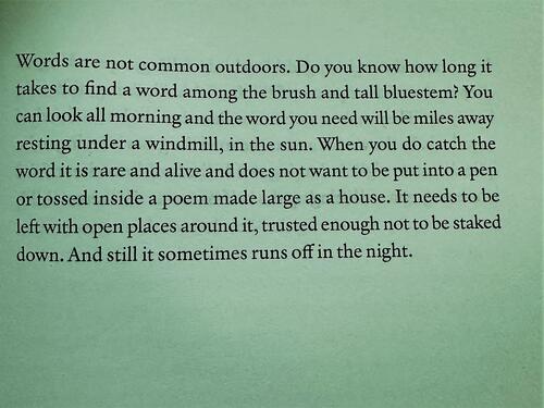 Poem contest Words in the Wild by Tom Hennen - All Poetry