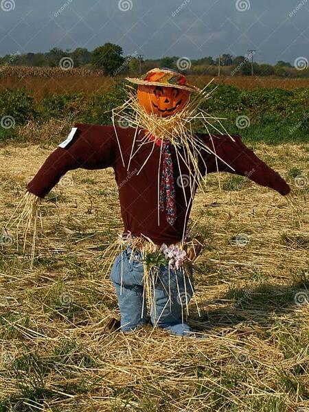 Poem contest All About Scarecrows Contest - All Poetry