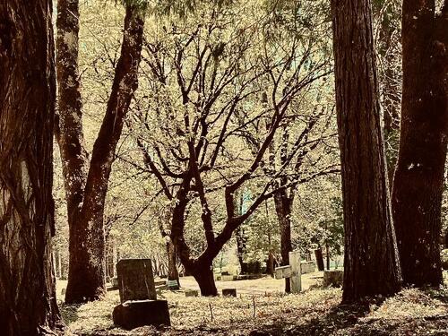 Poem contest Cemetery Poetry Comment Contest II - All Poetry