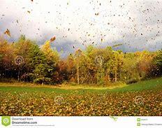 Poem contest An October Breeze - All Poetry