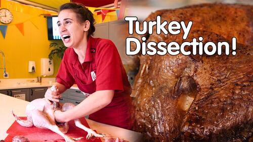 Poem contest Dissection Of A Fowl Feathered Friend - All Poetry