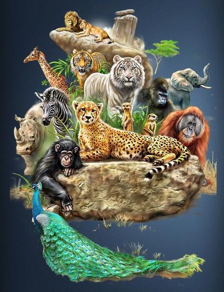 Poem contest Tautogram/Favorite Species on Earth - All Poetry