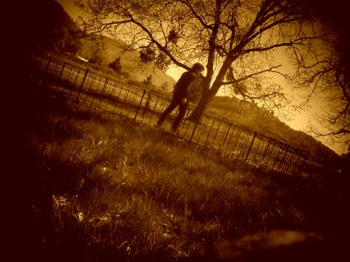 Poem Contest Cemetery Poetic Voyages All Poetry