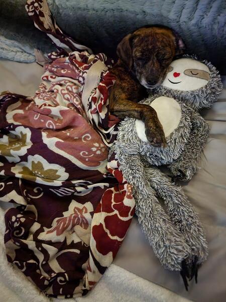 Poem contest Poem For Pic - All Poetry