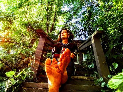 Poem Contest Barefoot Poetic Forest Voyages All Poetry