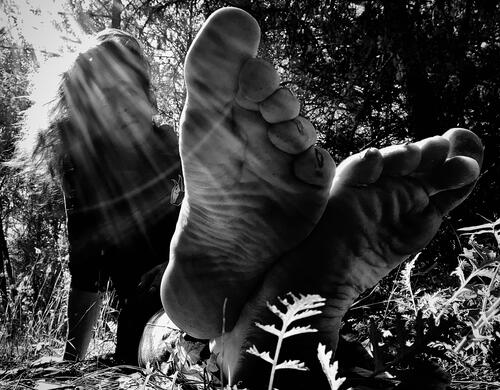 Poem Contest Barefoot Forest Voyages Iv All Poetry