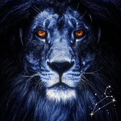 Poem contest Leo the Lion - All Poetry