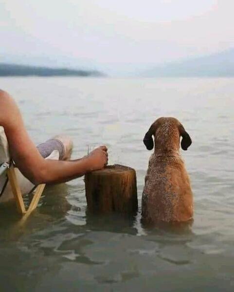 Poem contest 35-70 Words on Pic 1- WC in AN if you want to be awarded ...