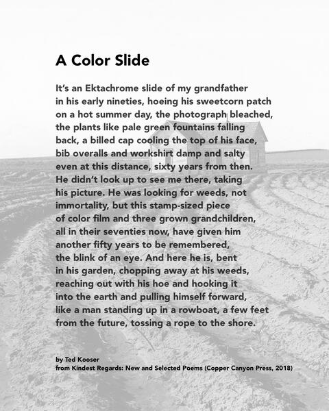 Poem contest Ted Kooser Poem Prompt - All Poetry