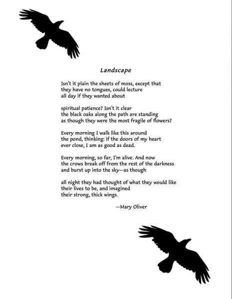 Poem contest Mary Oliver Poem Prompt - All Poetry