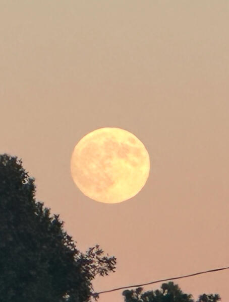 Poem contest Darling - All Poetry