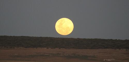 Poem contest La Luna Grande Sentient Sonnet Photograph Prompt - All Poetry