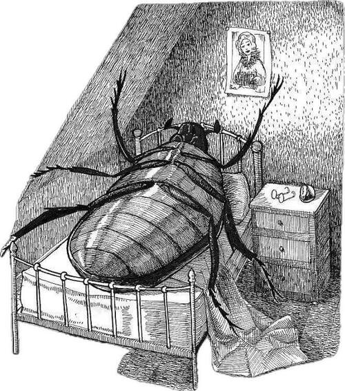 Poem contest 'The Metamorphosis' poetry competition. - All Poetry