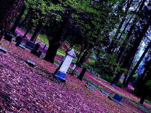 Poem contest Winter Cemetery Poetry - All Poetry