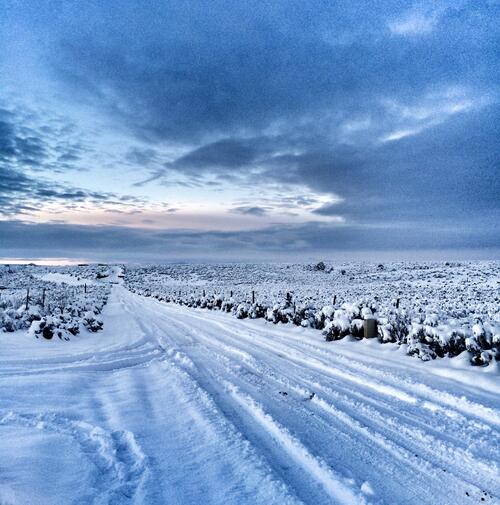 Poem contest Prompt: Dickinson Poem 'It sifts from Leaden Sieves' - All ...