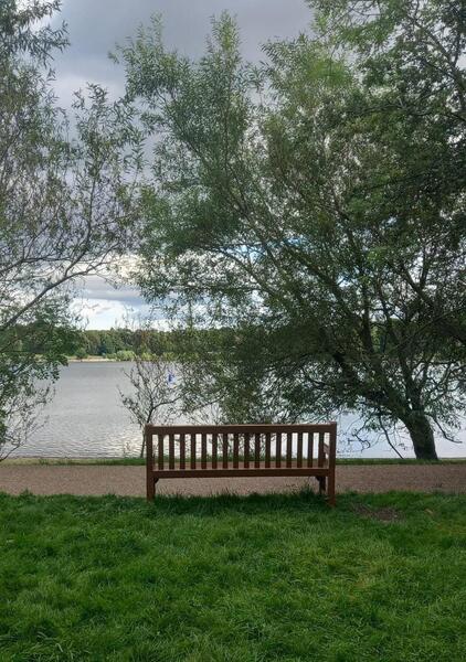 Poem contest Lonely Bench----Image Prompt - All Poetry