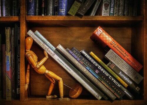 Poem contest #1229 MAX 6 lines - IMAGE is prompt - in the bookcase ...