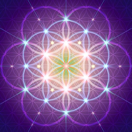 Poem contest The Seed of Life - All Poetry