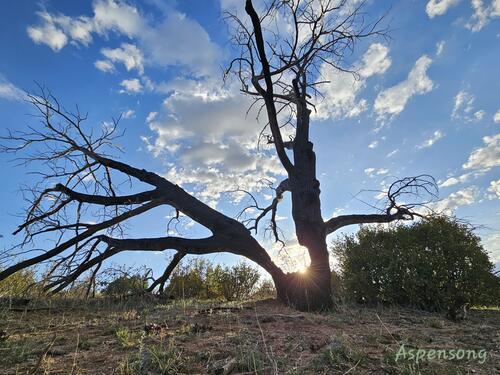 Poem contest Cauldron - All Poetry