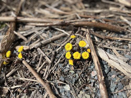 Poem contest Anything—image inspired - All Poetry