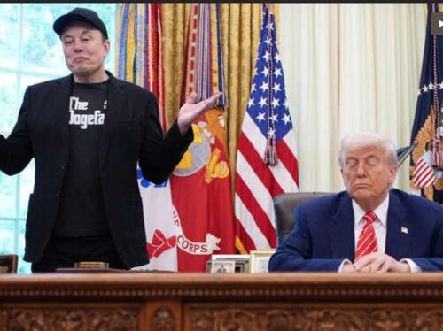 Poem contest Are these 2 idiots human .. or alien? - All Poetry