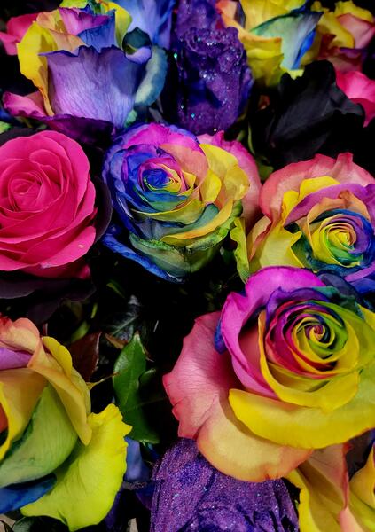 Poem contest Pick a poem! - All Poetry