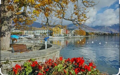 Poem contest Goodness is its own reward - All Poetry