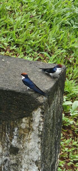 Poem contest 50 words or less on the Photo - All Poetry